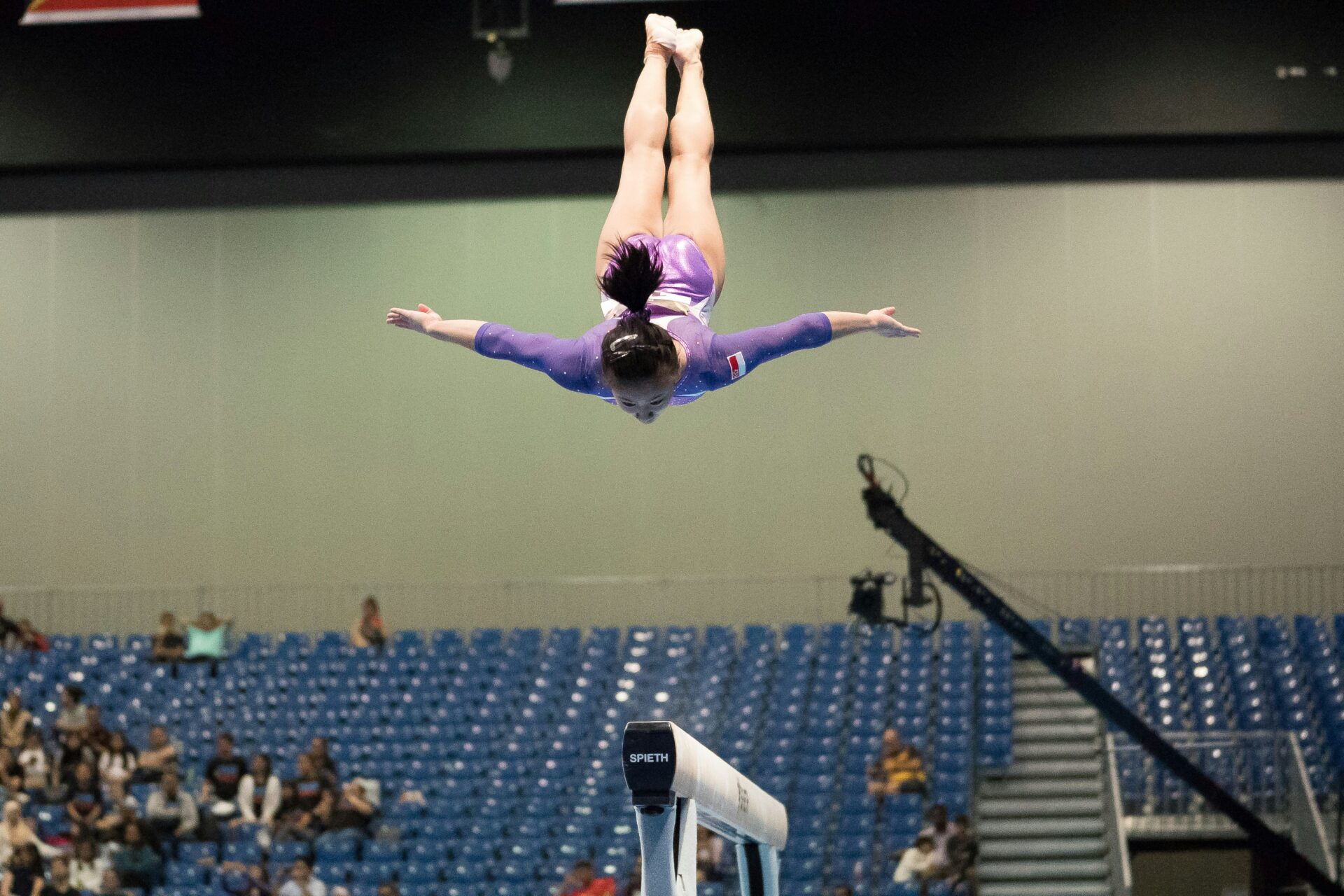 National Gymnastics Day - National Day Archives