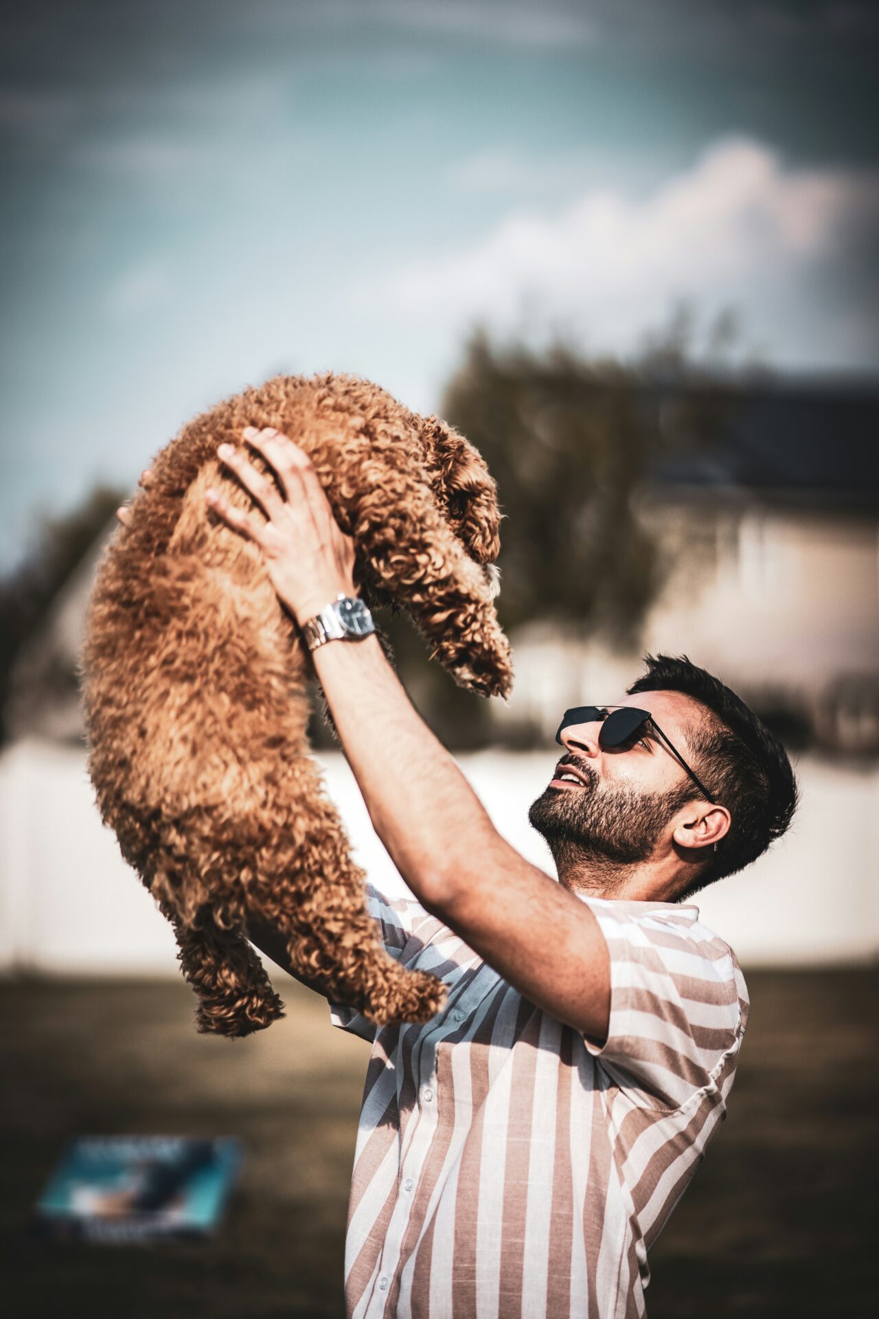 Thankful For My Dog Day - National Day Archives