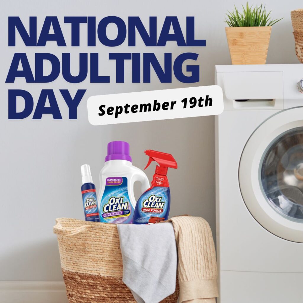 National Adulting Day – September 19 - National Day Archives